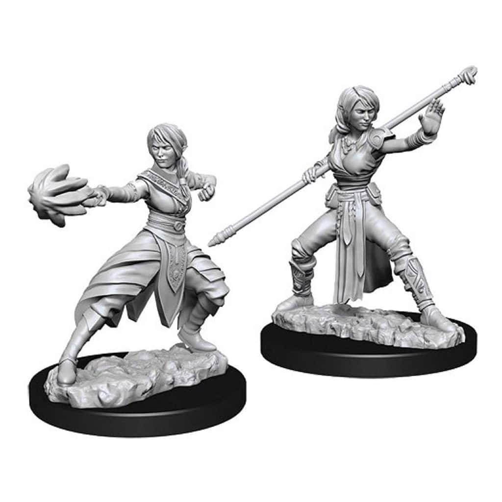 Nolzur's Marvelous Miniatures: Half Elf Monk (female) - Gamers@Hart
